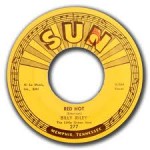 Friday Night Cat Fight